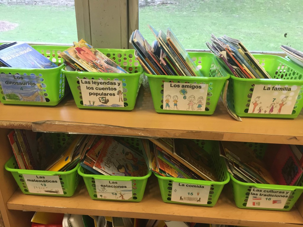 Let them read! | Teaching For Biliteracy